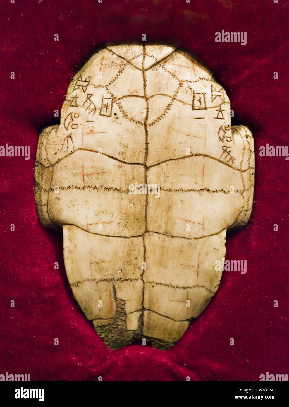 Oracle bone hi-res stock photography and images - Alamy