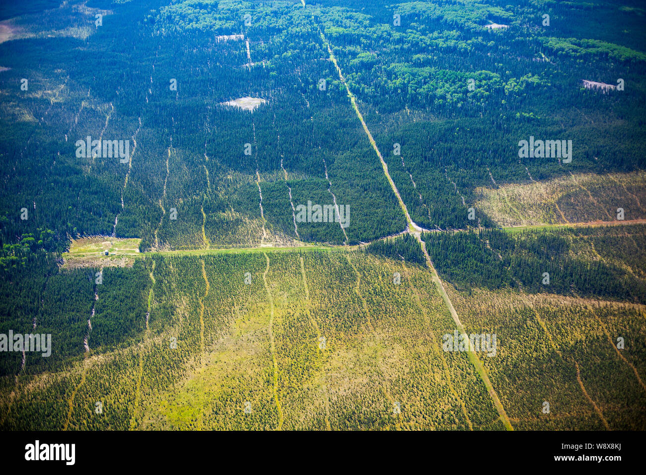 Seismic lines south of Fort McMurray, Alberta purposely curved (wavey ...