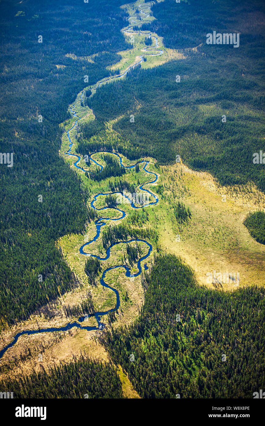 Winding creek in Boreal forest south of Fort McMurray, Alberta Stock ...