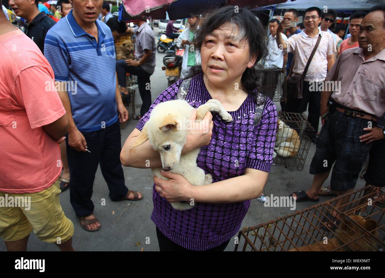Fight dog meat hi-res stock photography and images - Alamy