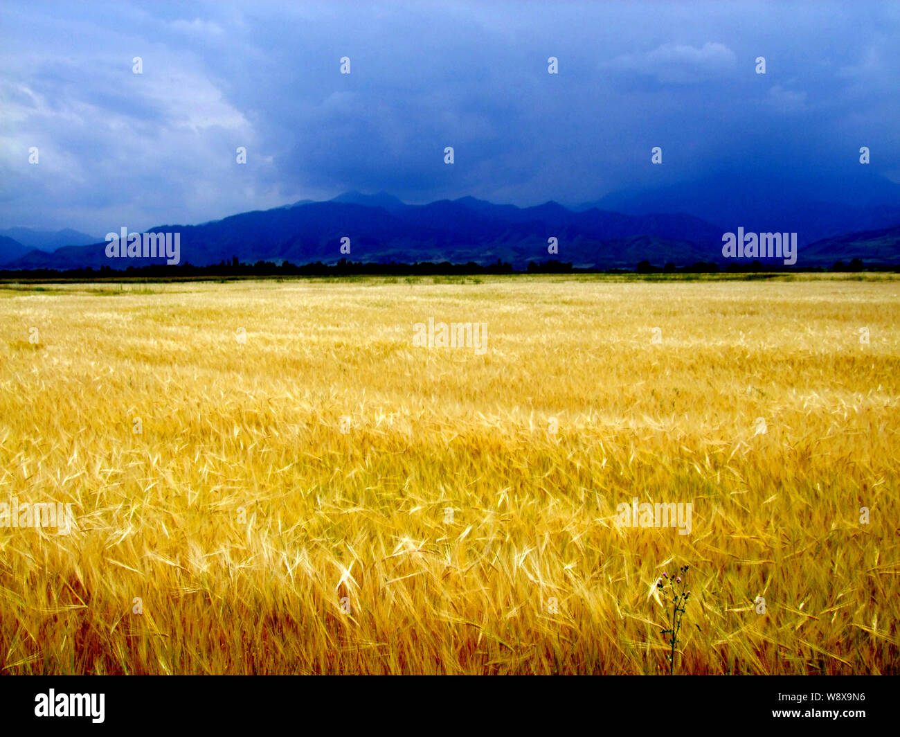 Landscape of the mountain range of Tianshan Mountains in northwest ...