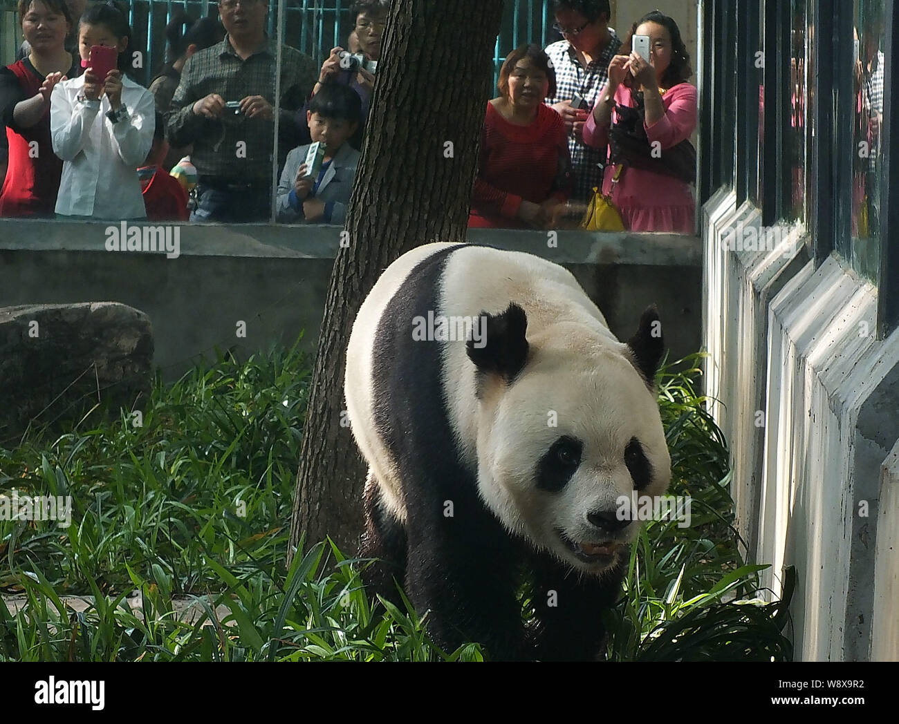 China hubei xi hi-res stock photography and images - Alamy