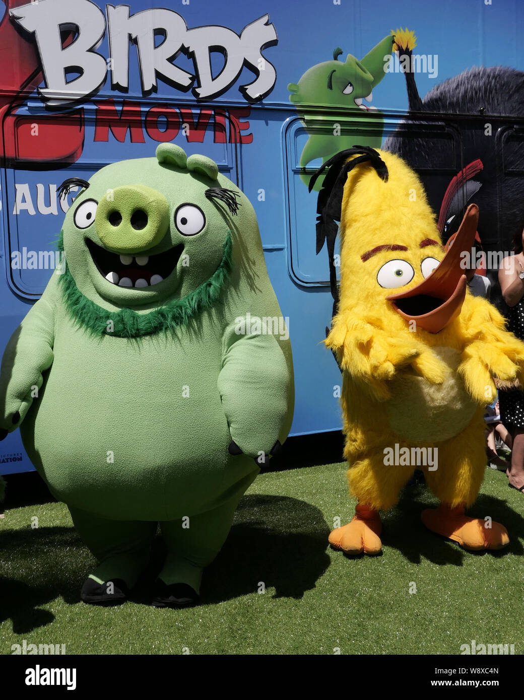 Angry Birds Characters Green