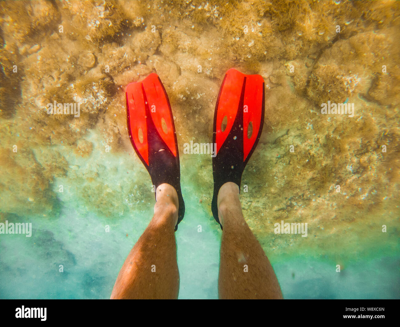 Red flippers hi-res stock photography and images - Alamy