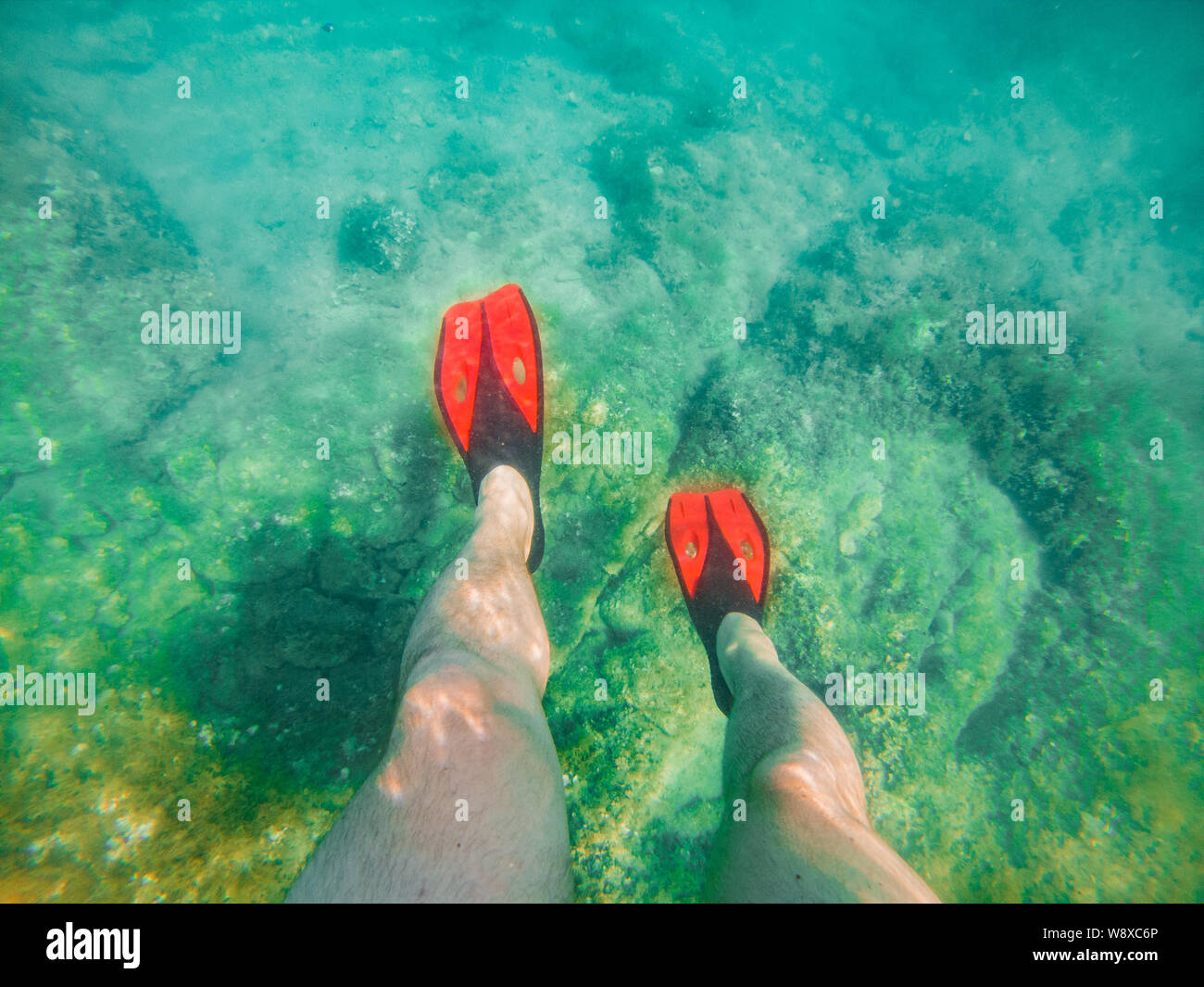 mans legs in red flippers underwater snorkeling Stock Photo - Alamy