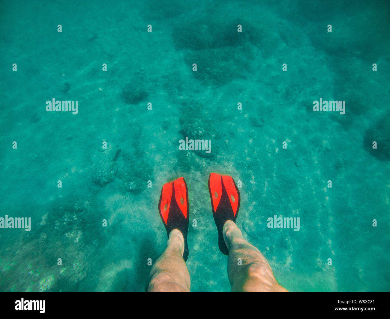 Red flippers hi-res stock photography and images - Alamy