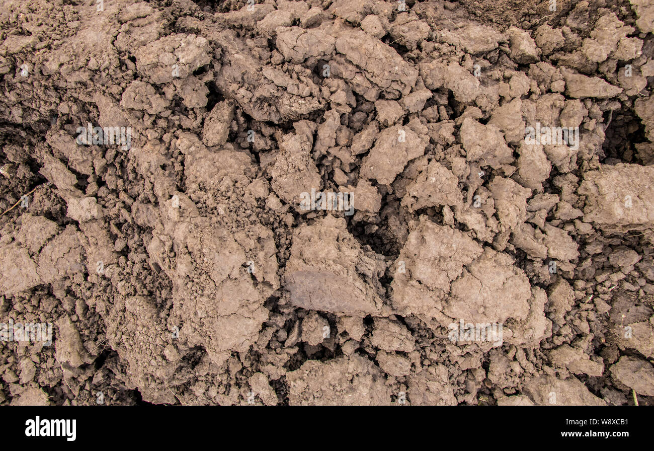 Dry light-brown texture of earth Stock Photo - Alamy