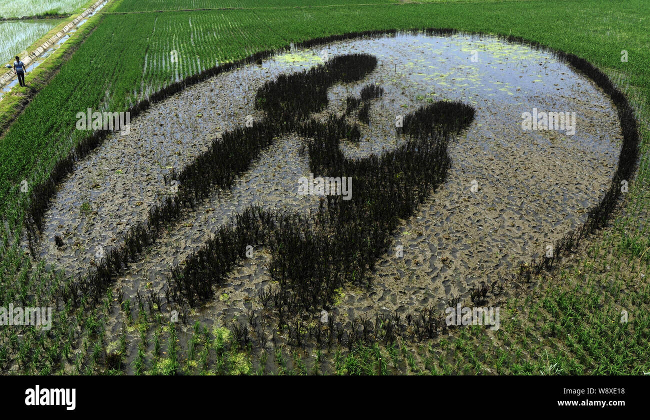 A local resident walks past a rice paddy painting at a paddy field in ...