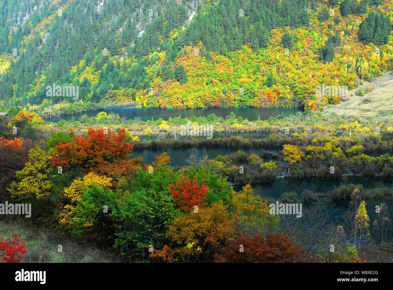 25 october 2007 hi-res stock photography and images - Alamy