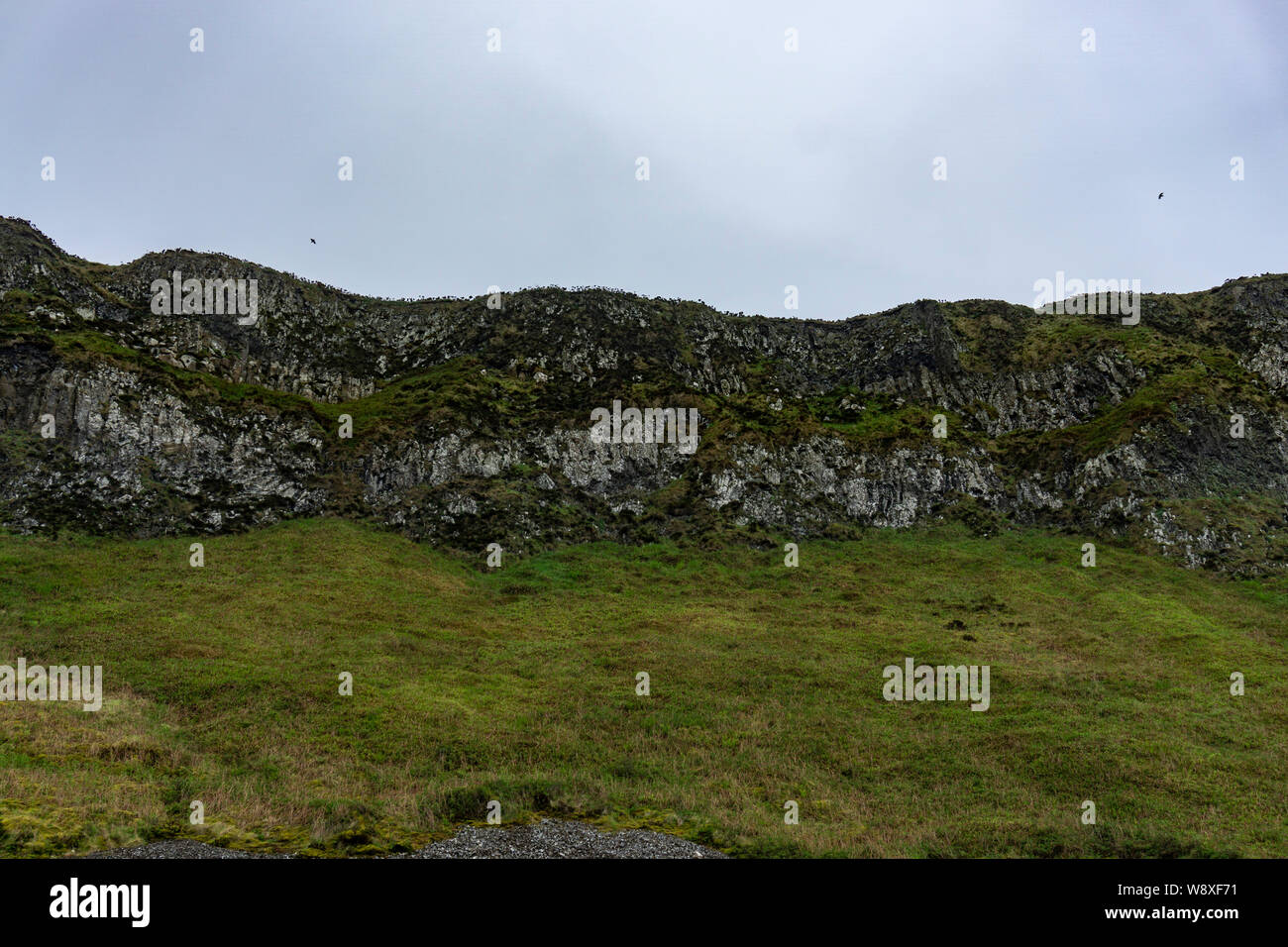 panorama of ocean cliffs in northern ireland Stock Photo - Alamy