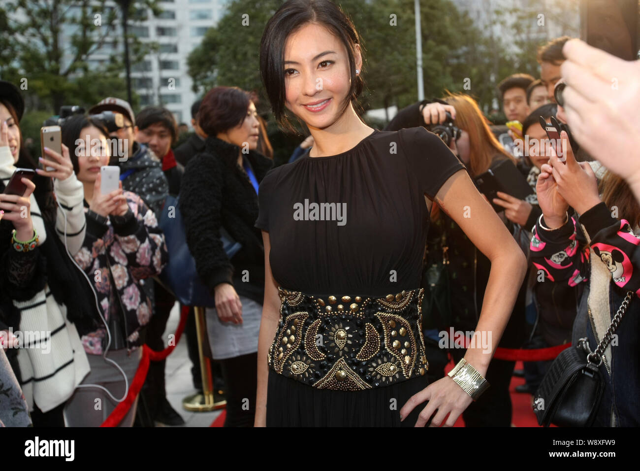 Hong Kong singer and actress Cecilia Cheung poses on the red carpet as ...