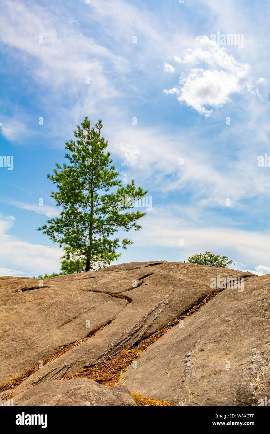 Smooth terrain surface hi-res stock photography and images - Alamy