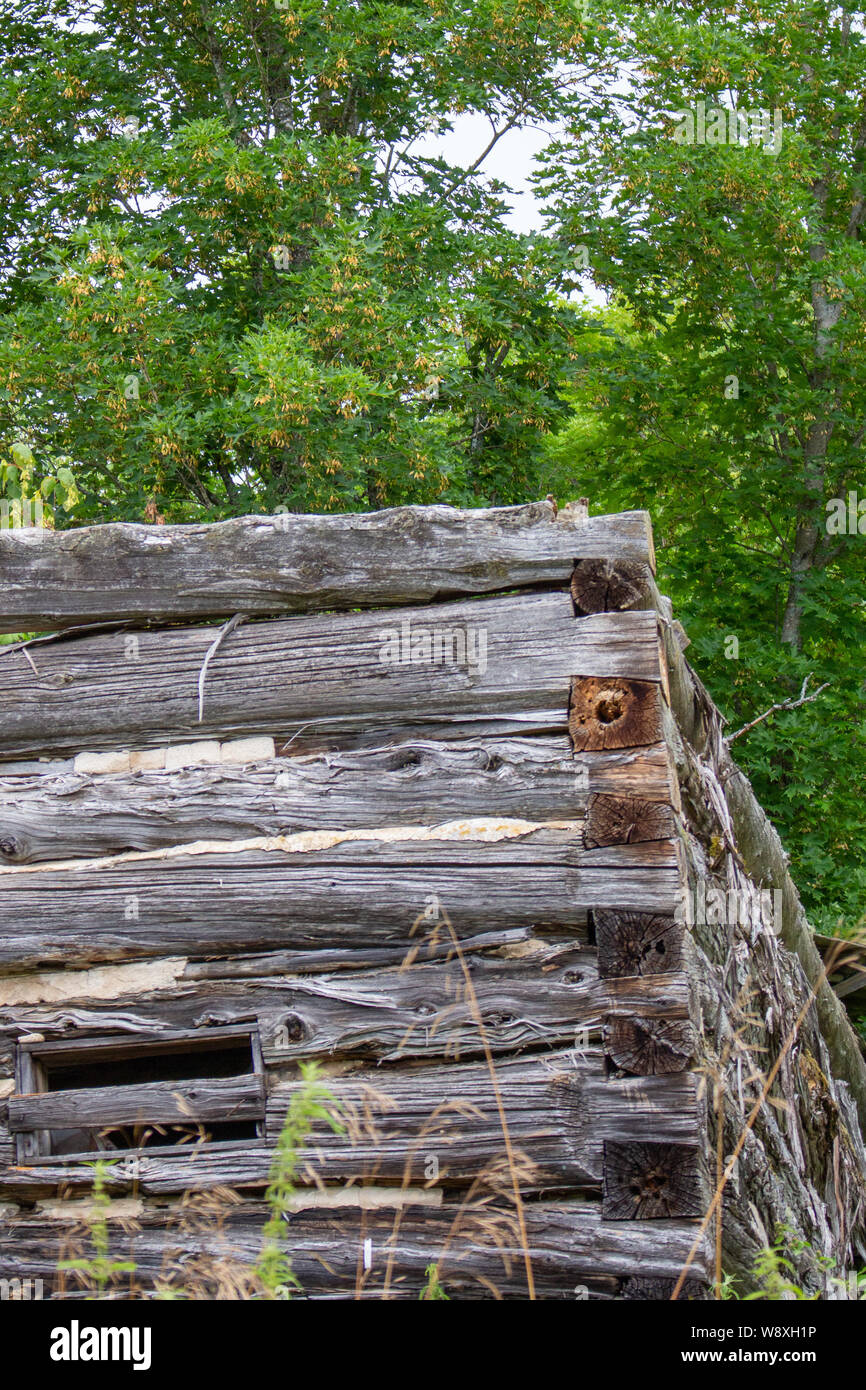 Old overgrown cabin in woods hi-res stock photography and images - Alamy