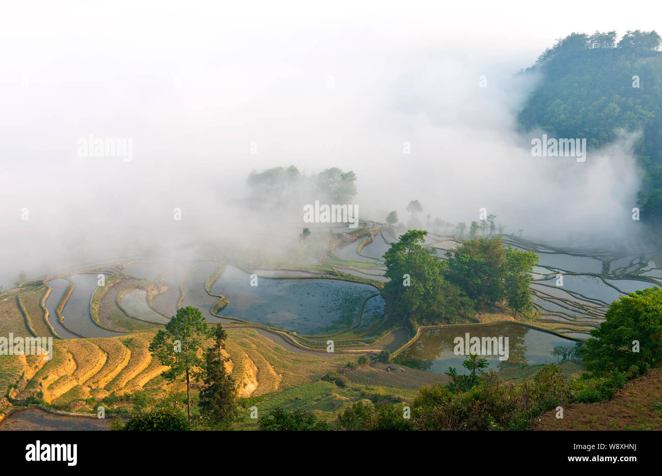 This picture shows the beautiful landscape of Hani rice terraces at ...