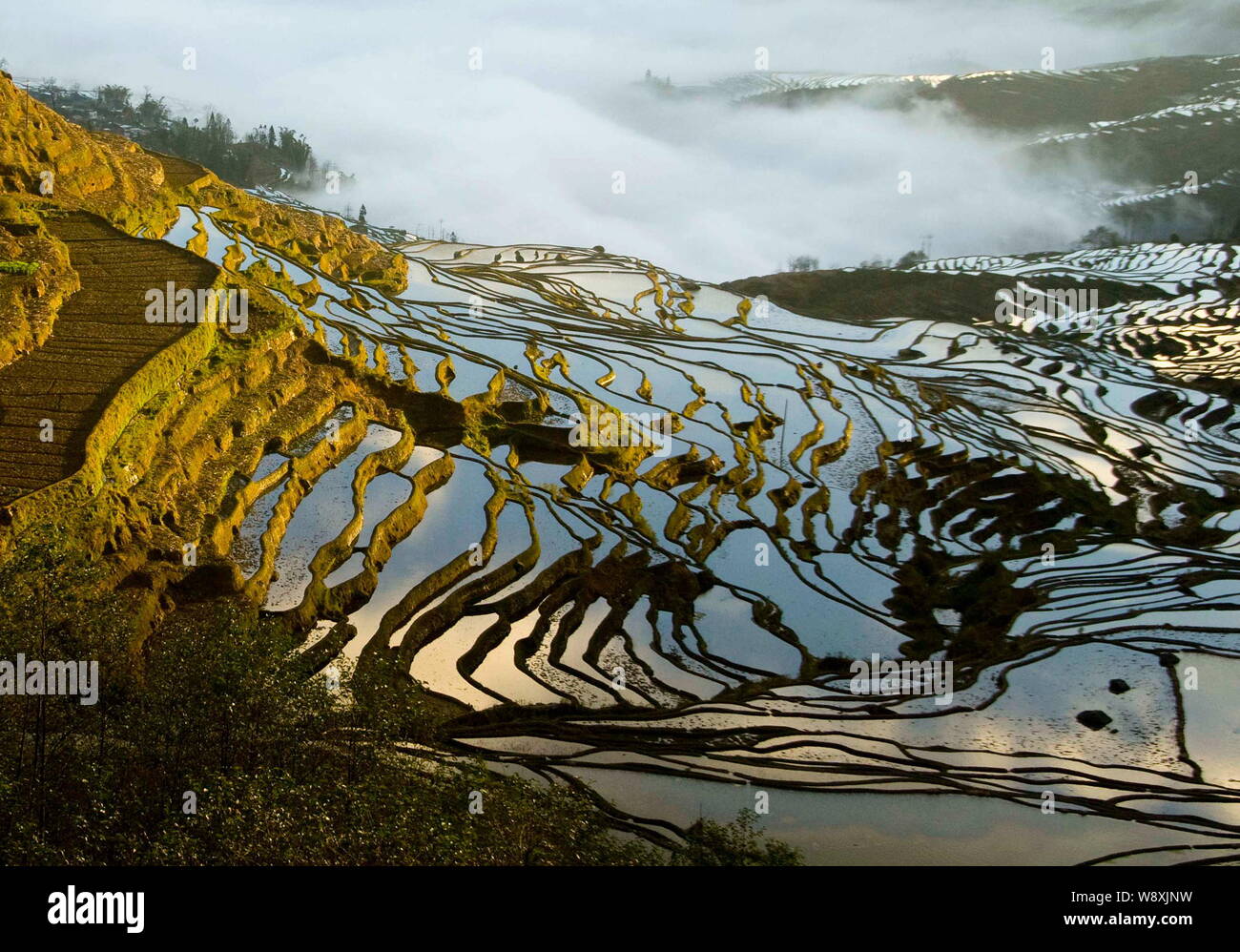 Yuanyang County Yunnan