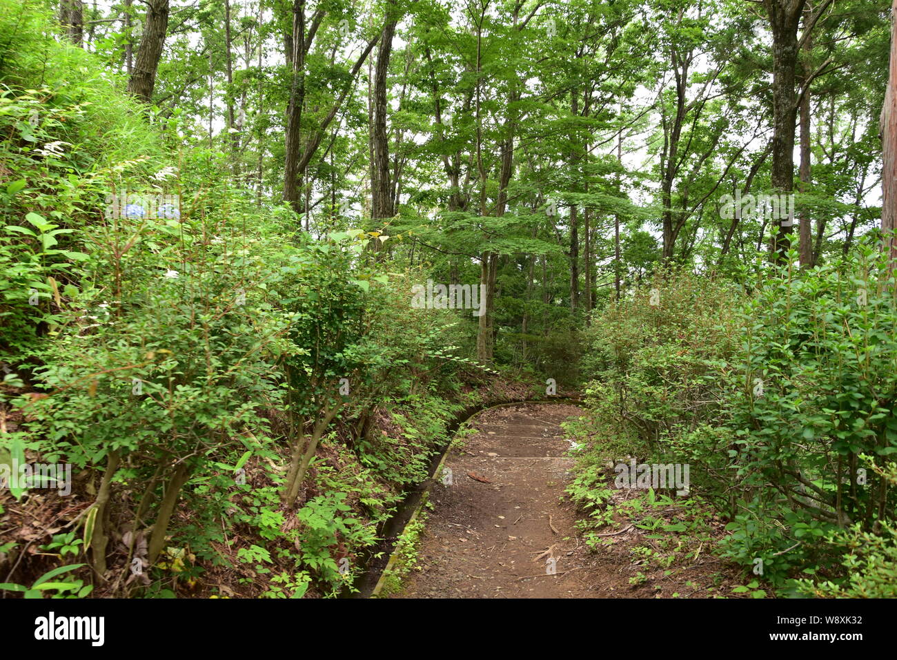 Views around Mount Fuji Japan, including Kawaguchiko Tenjozan Park ...