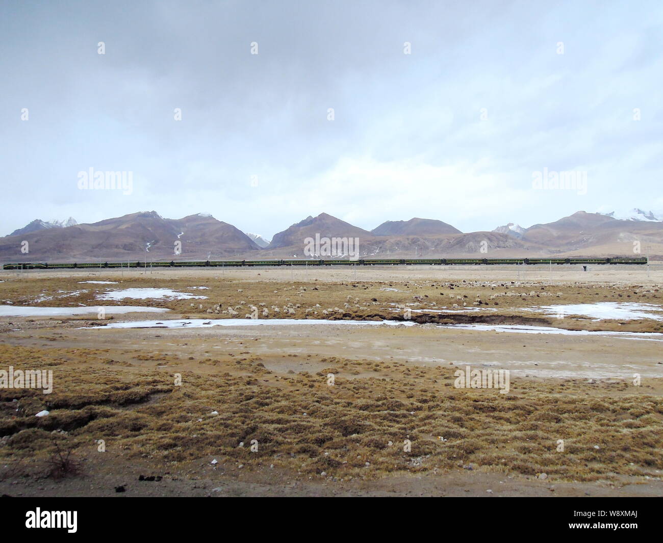 Qinghai tibet railway china hi-res stock photography and images - Alamy