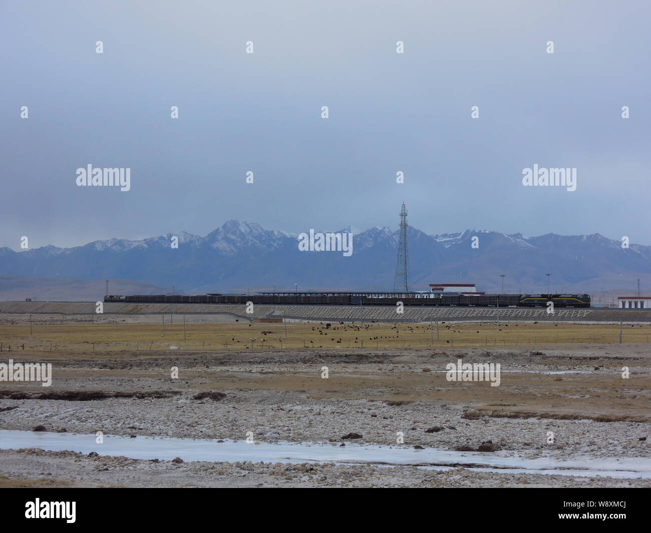 --FILE--A train travels on the Qingzang (Qinghai-Tibet) Railway in ...