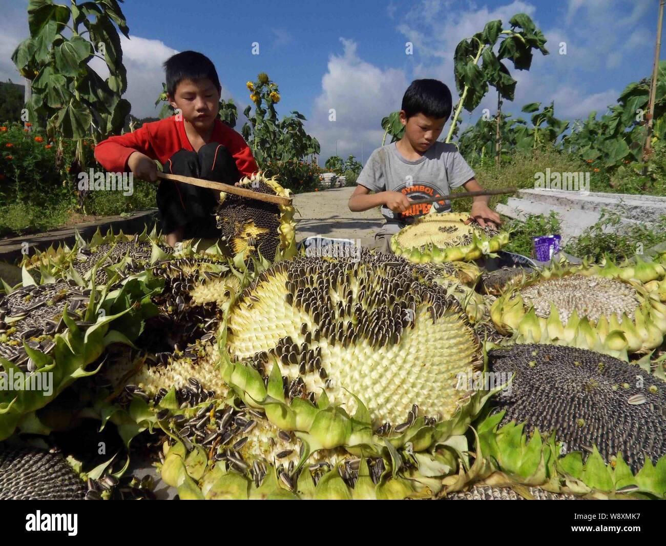 China left behind children hi-res stock photography and images - Alamy