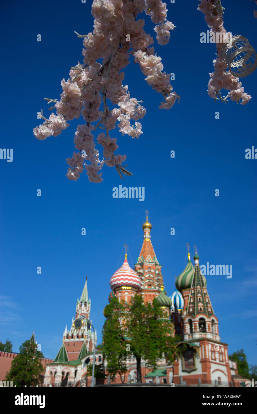 Moscow kremlin in spring with pink flowers Stock Photo - Alamy