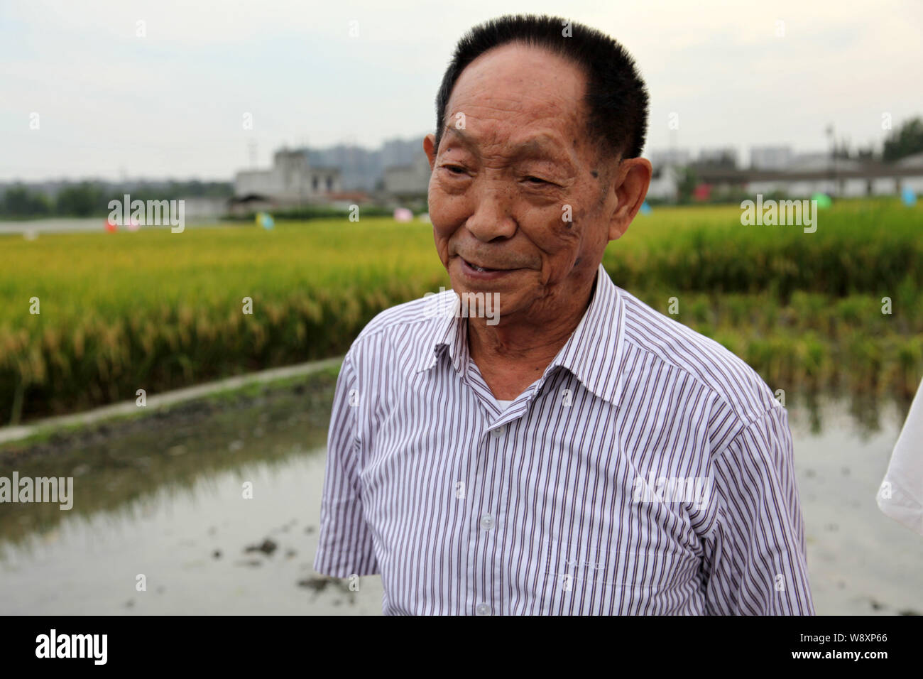 --FILE--Chinese scientist Yuan Longping, known as the Father of Hybrid ...
