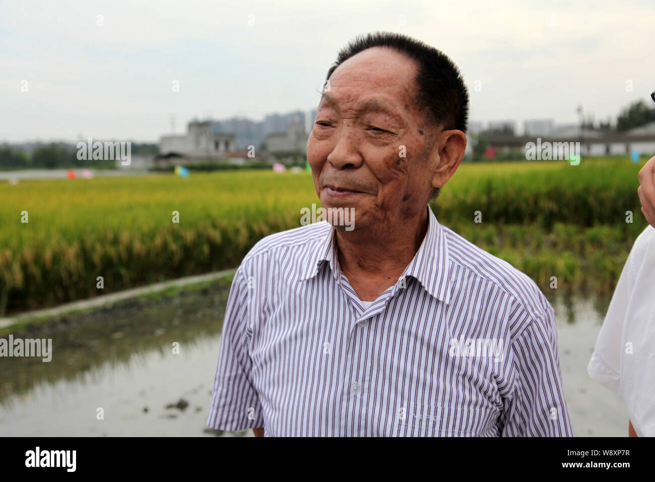 --FILE--Chinese scientist Yuan Longping, known as the Father of Hybrid ...