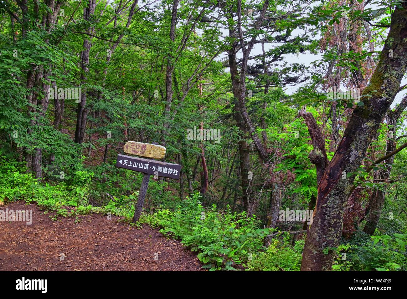 Views around Mount Fuji Japan, including Kawaguchiko Tenjozan Park ...