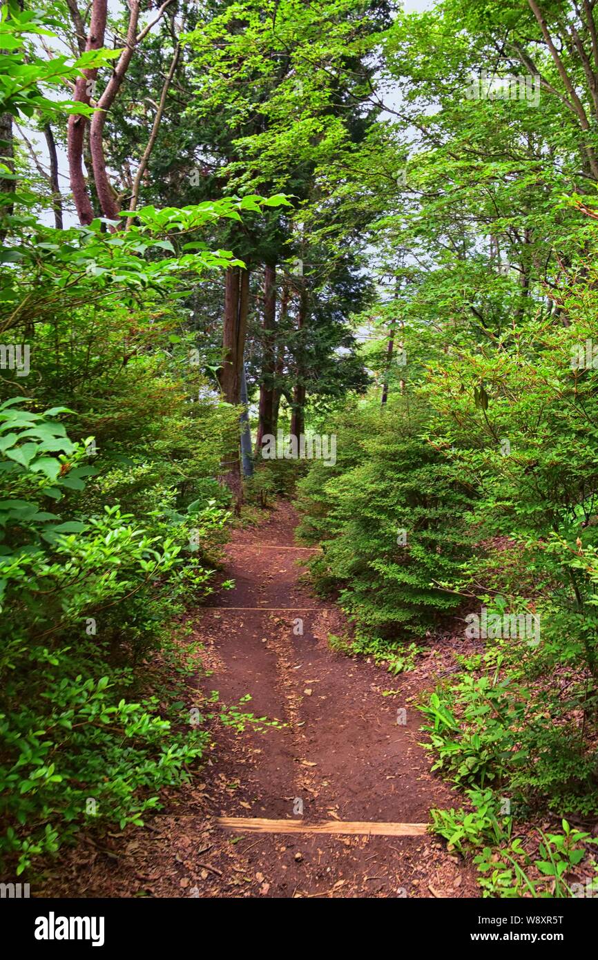 Views around Mount Fuji Japan, including Kawaguchiko Tenjozan Park ...