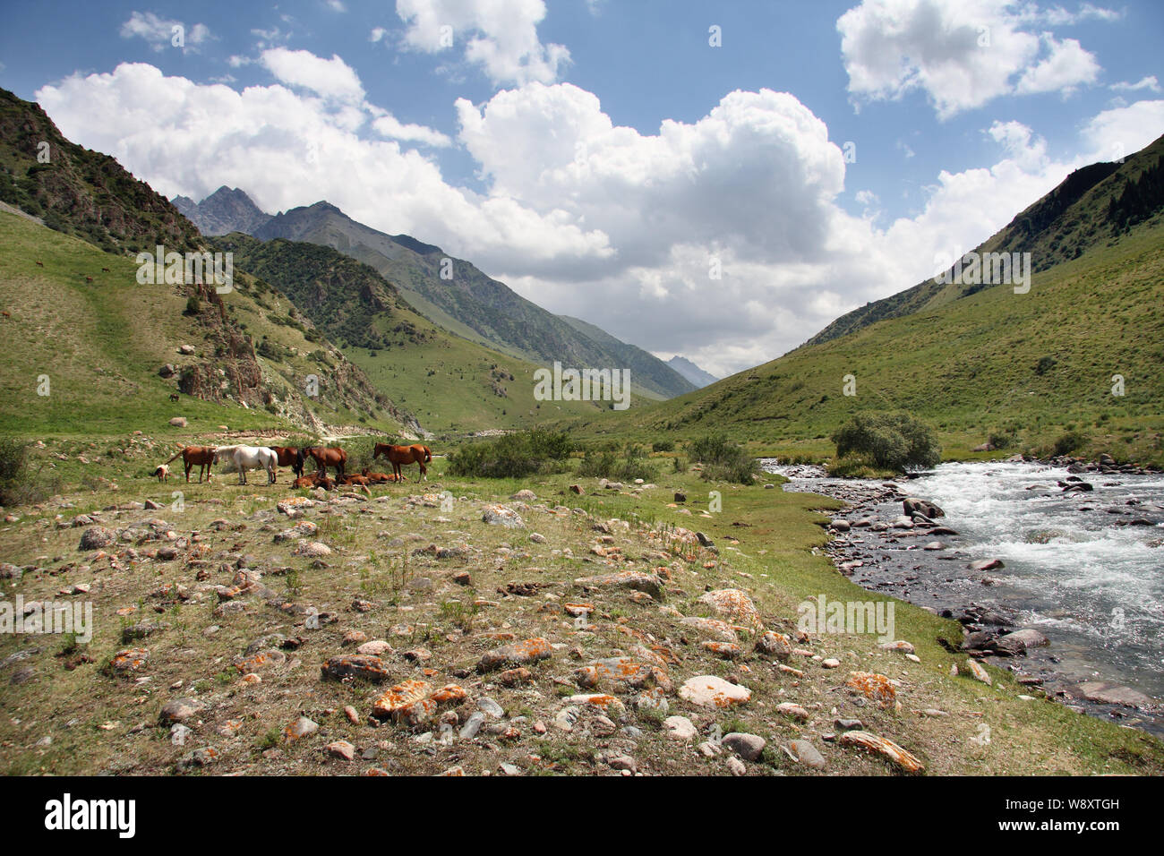 Kyrgyzstan asia hi-res stock photography and images - Alamy