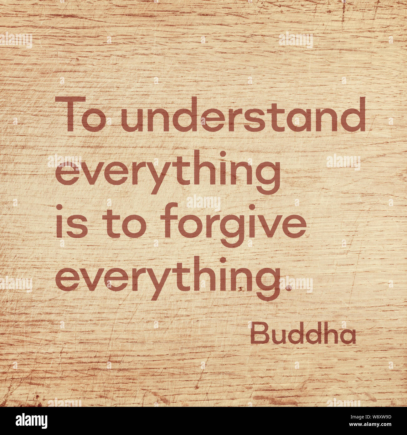 To understand everything is to forgive everything - famous quote of ...