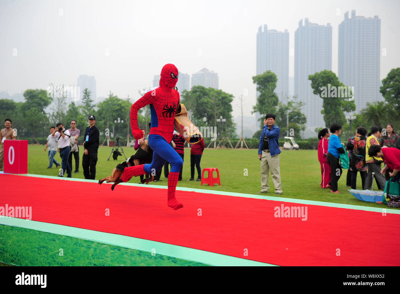 A dog chases a participant dressed in the Spider-man costume during a ...