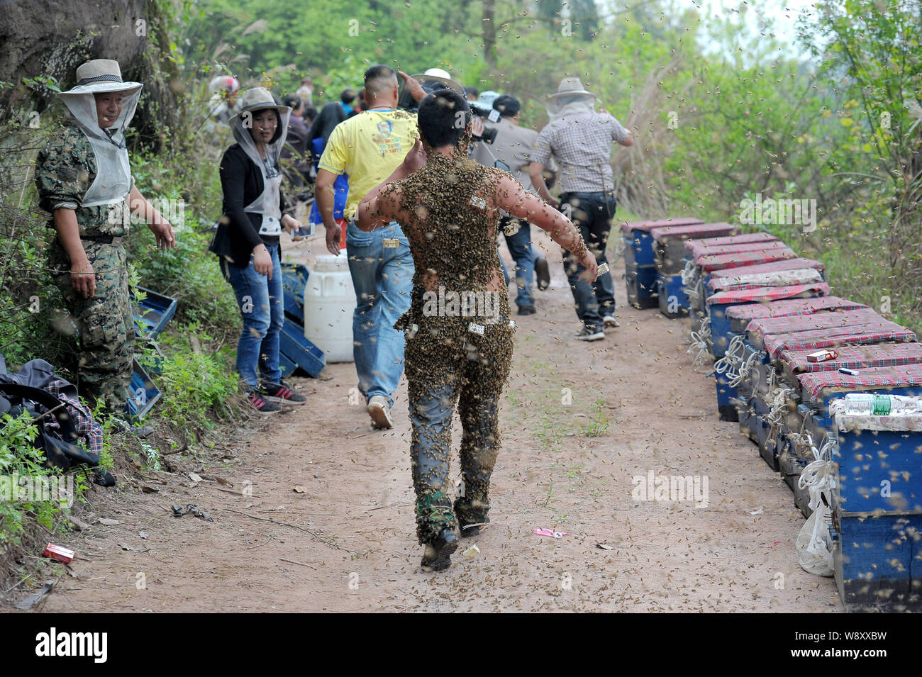 34-year-old Chinese beekeeper She Ping tries to shake off bees from his ...