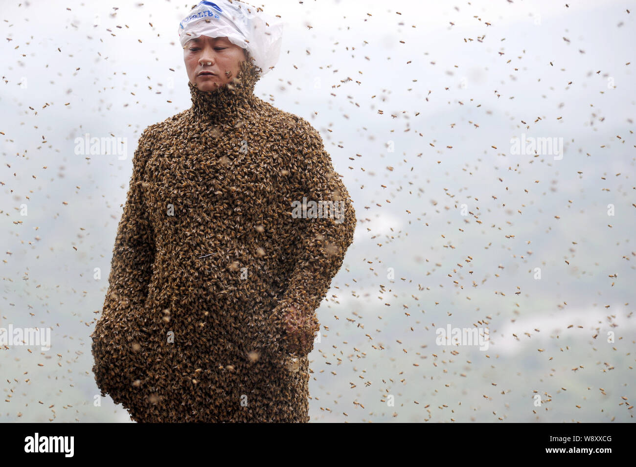34-year-old Chinese beekeeper She Ping is almost covered with bees all ...