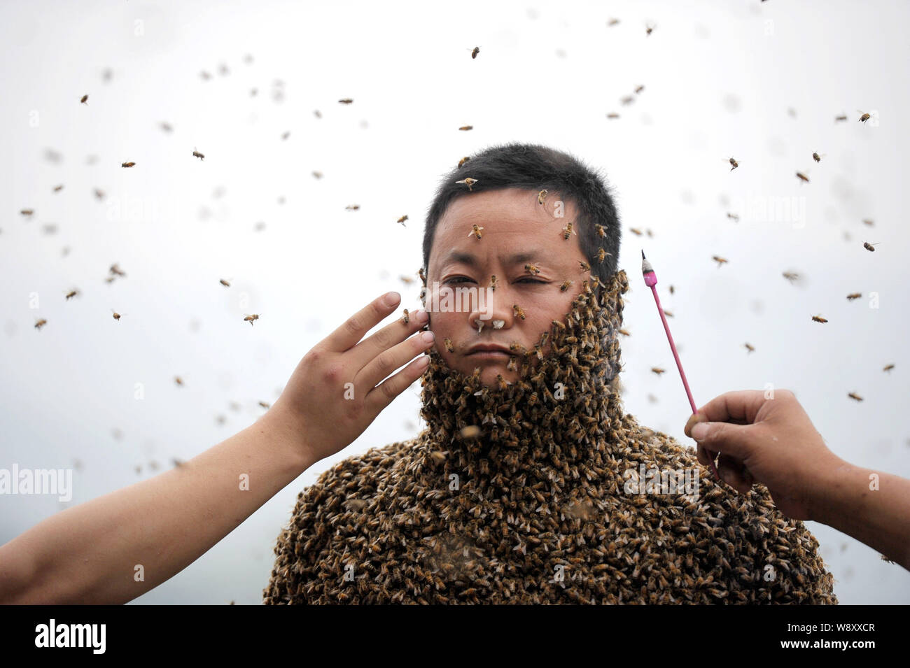 Chinese beekeepers use incense sticks to drive away the bees covering ...