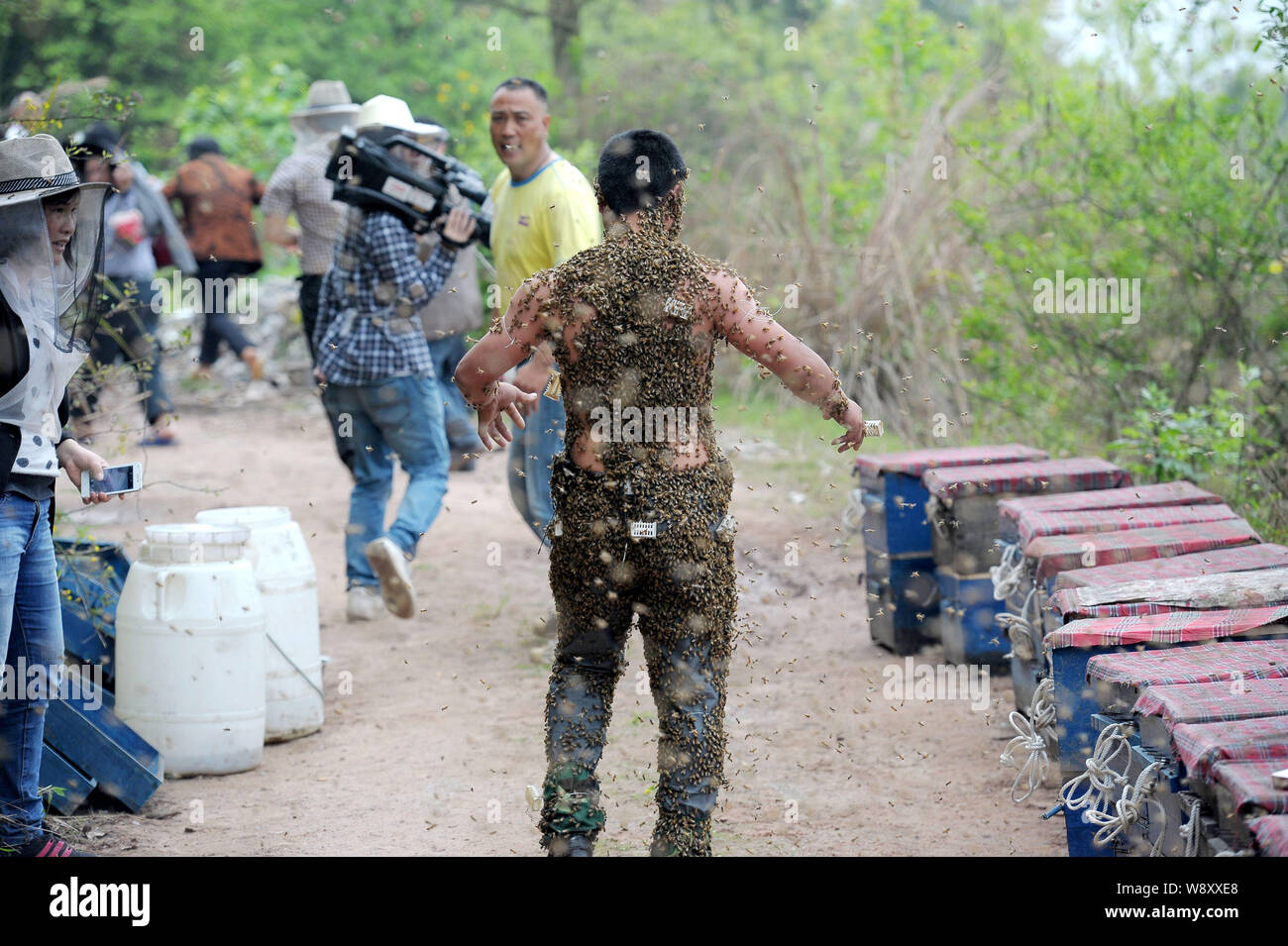 34-year-old Chinese beekeeper She Ping tries to shake off bees from his ...