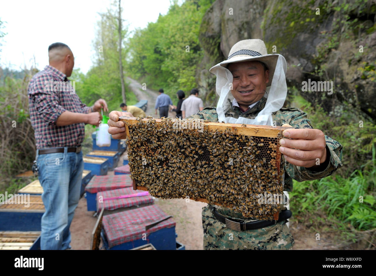 A Chinese beekeeper shows bees to be used to cover the body of 34-year ...