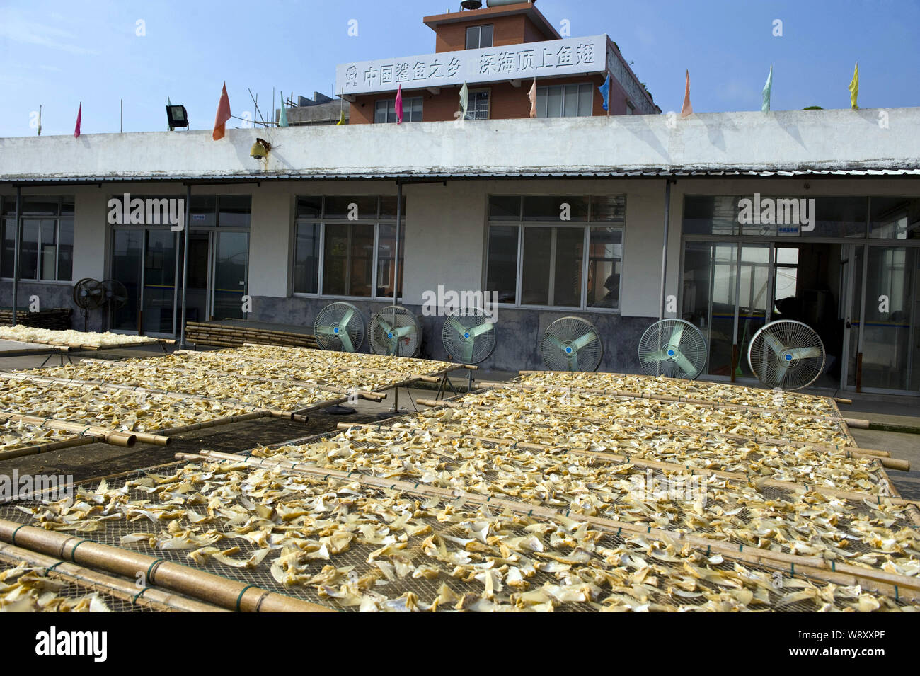 Dried shark fins hi-res stock photography and images - Alamy