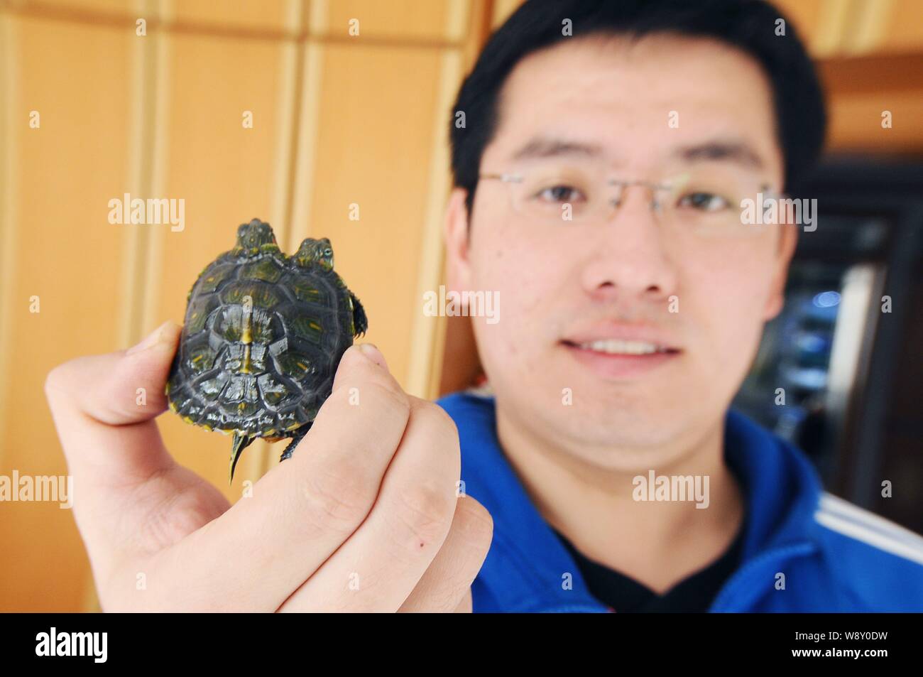 Two headed turtle hi-res stock photography and images - Alamy