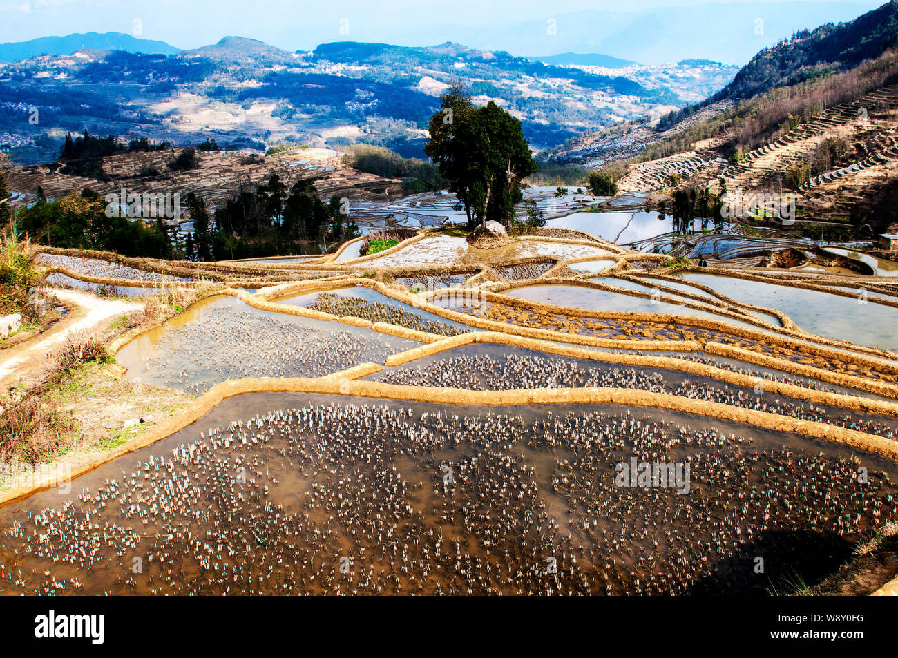 --FILE--Landscape of Yuanyang rice terraces in Yuanyang County, Honghe ...
