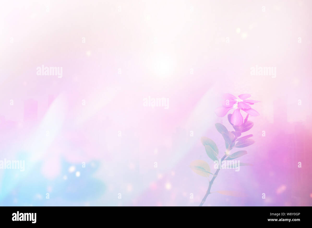 color flower for background design concept Stock Photo - Alamy