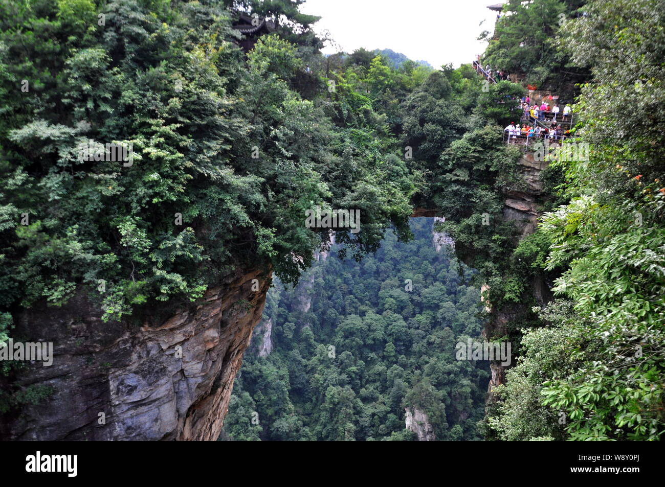 Landscape of World No. 1 Bridge at Zhangjiajie National Forest Park in ...