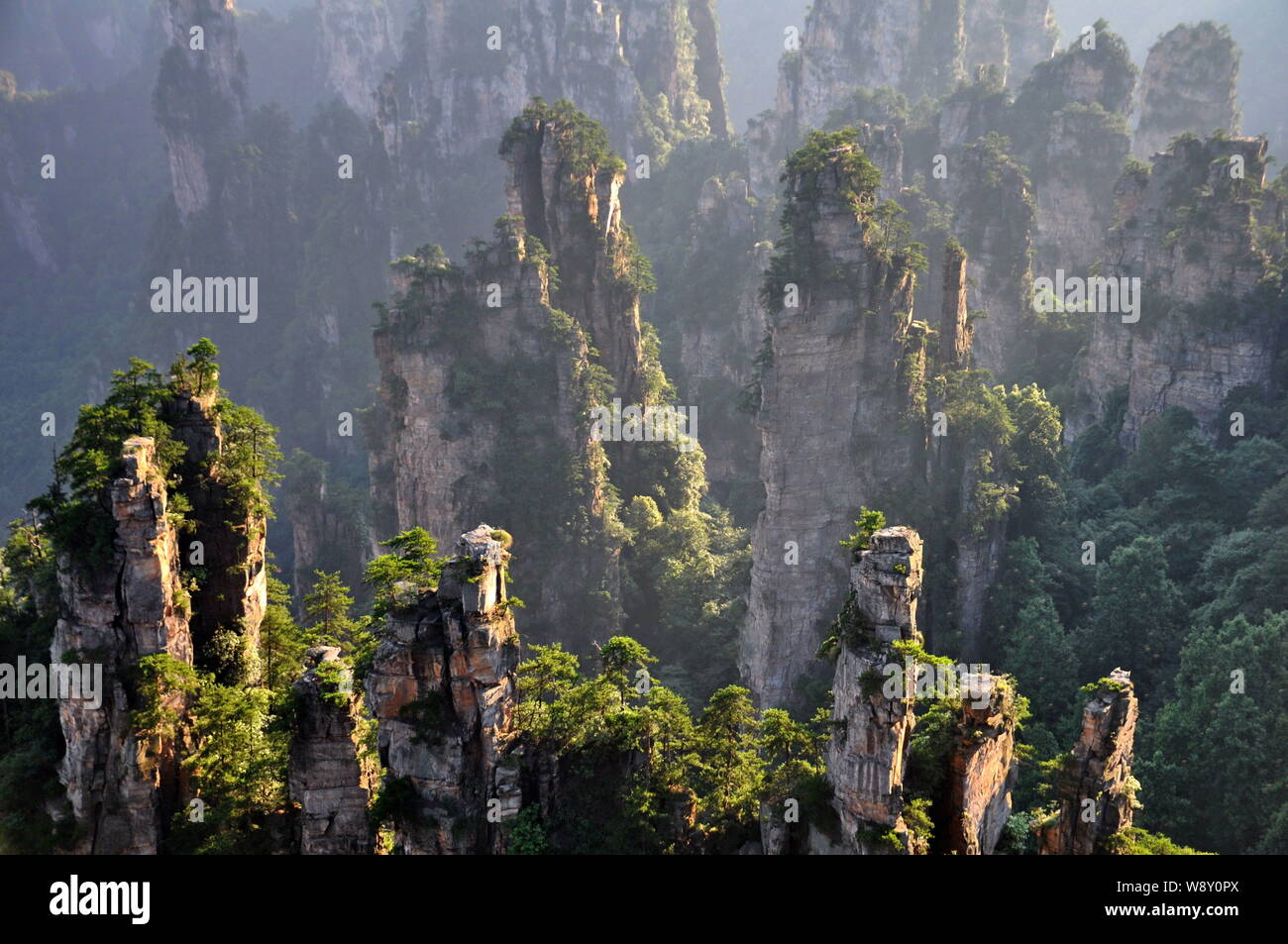 Landscape of Tianzi Mountains at Zhangjiajie National Forest Park in ...