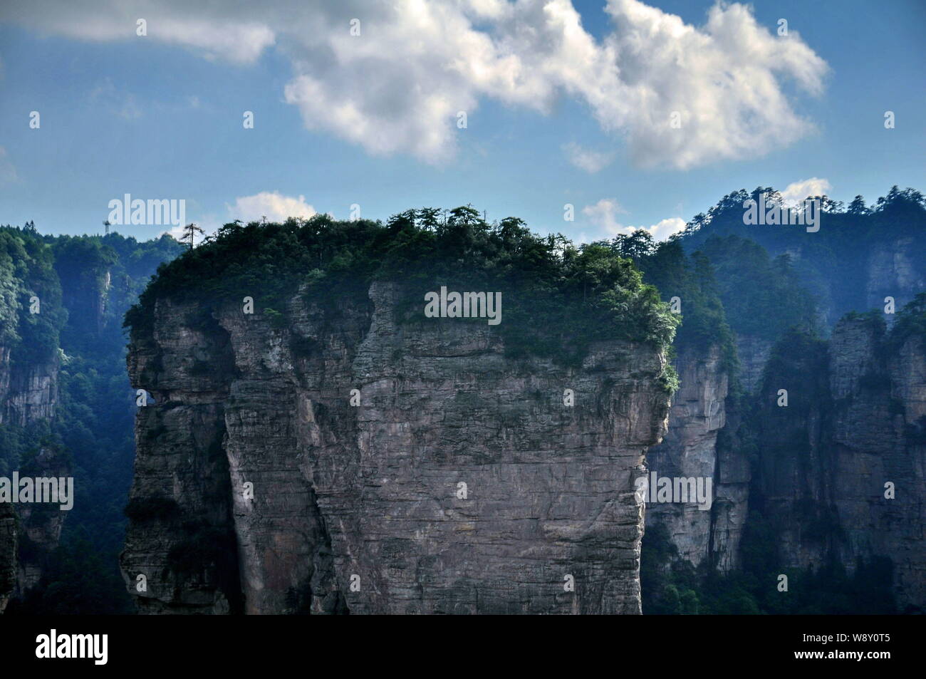 World no 1 hi-res stock photography and images - Alamy