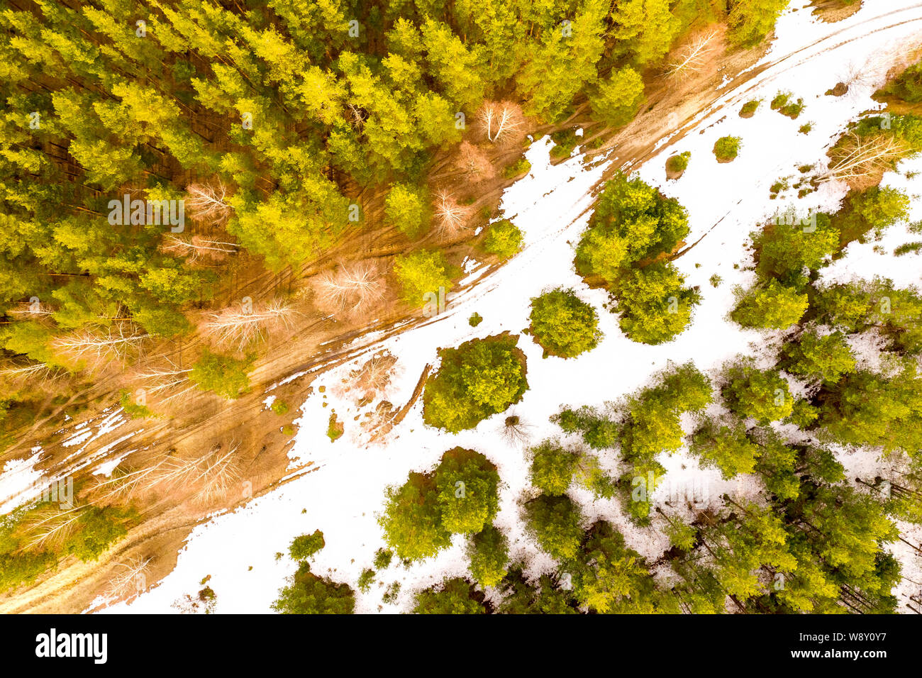 Spring landscape in the forest with snow and first hi-res stock ...