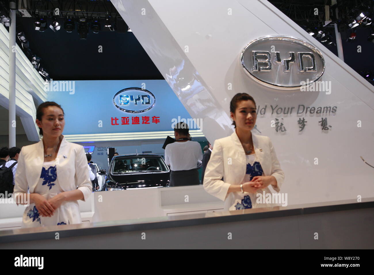 --FILE--Employees are seen at the stand of BYD during the 13th Beijing ...
