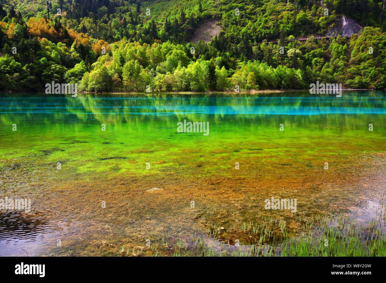 Five Color Lake China Five Flower Lake, Jiuzhaigou: Best Visit Time,