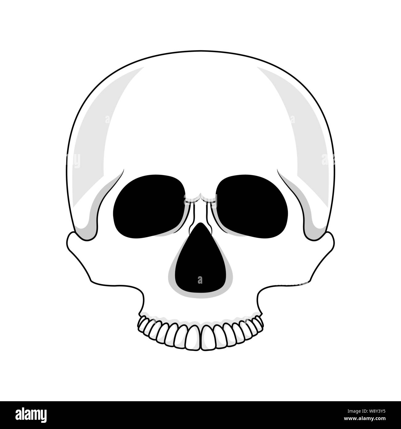 Skull isolated on white background. Cartoon human skull. Vector ...