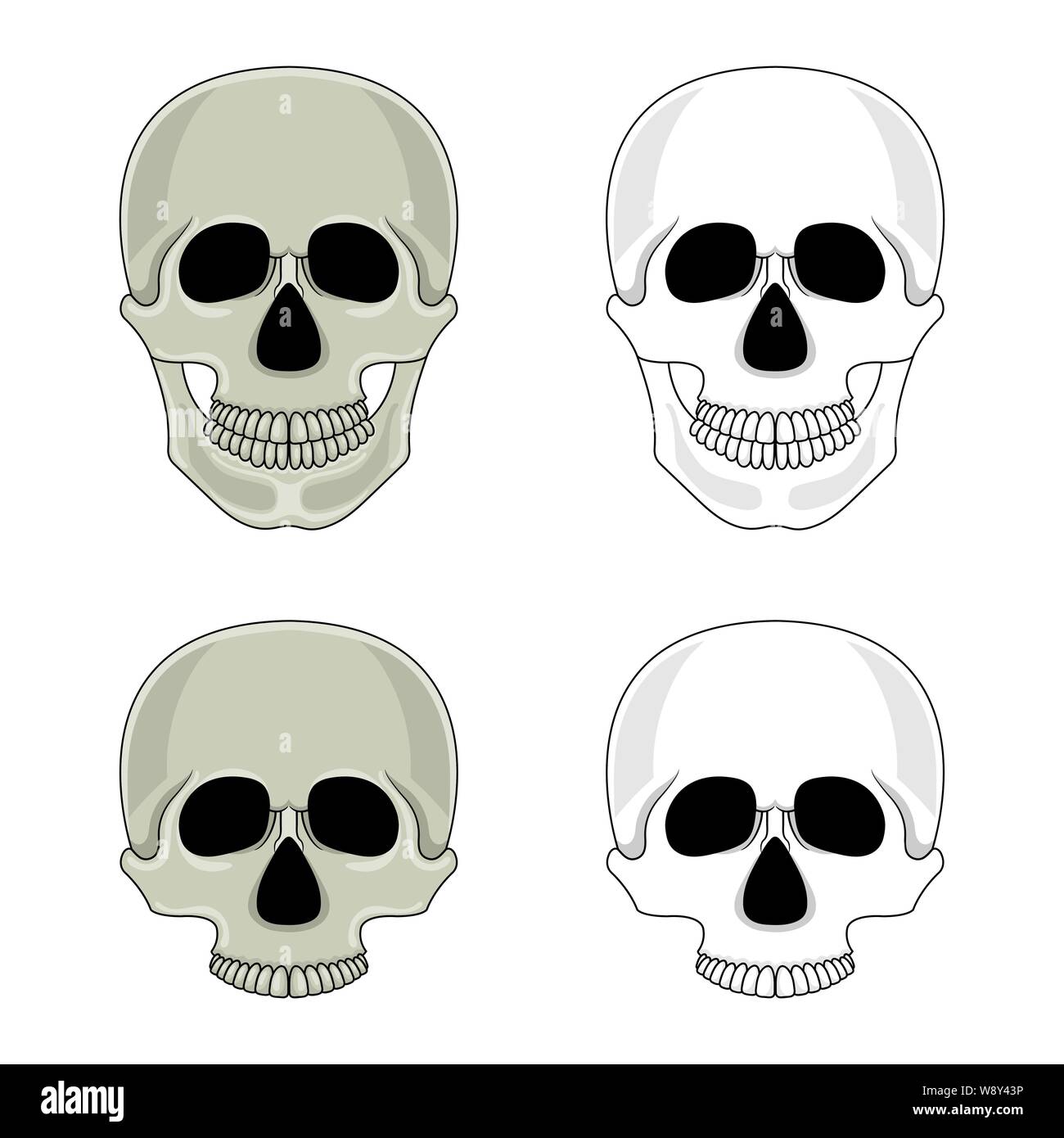 Cartoon Human Skull