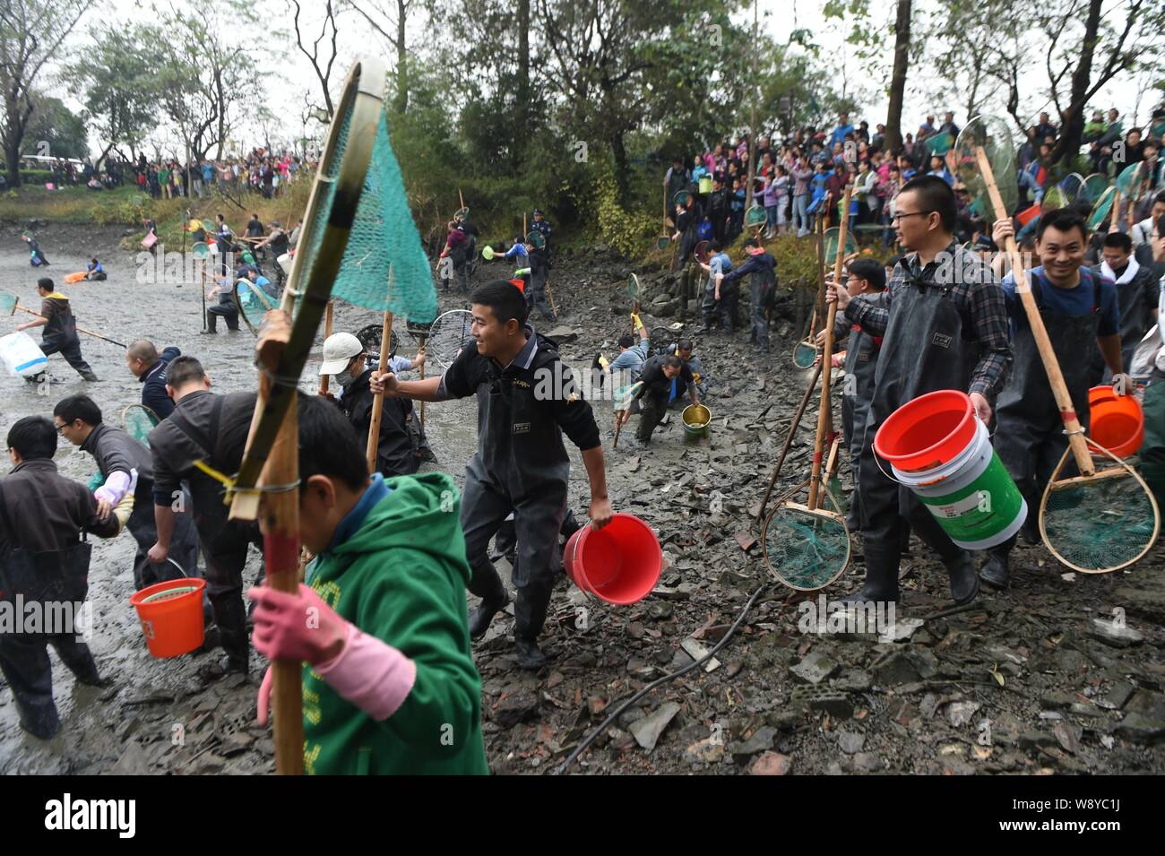 People run into a muddy pond to fish and to celebrate the pond-clearing ...