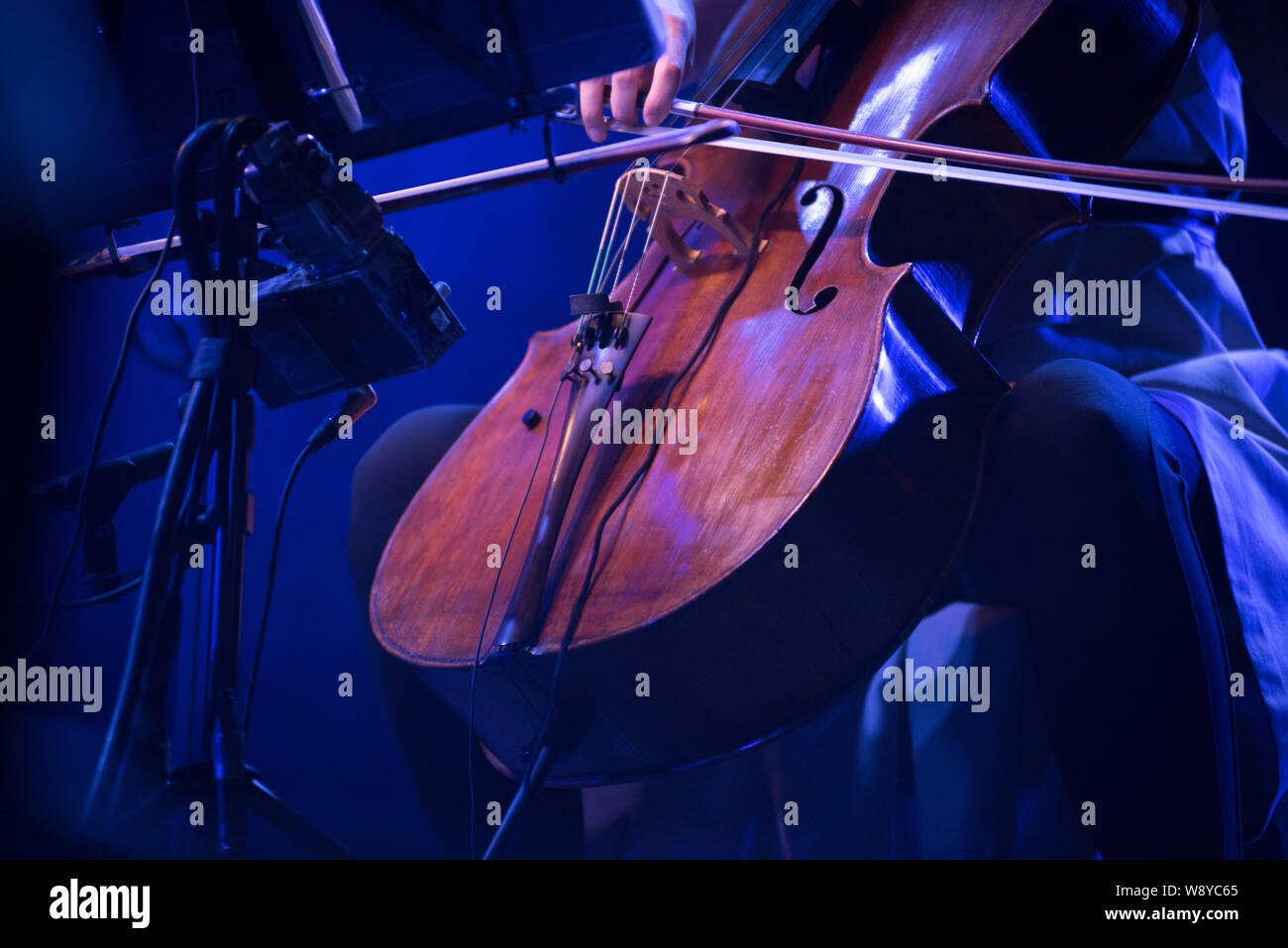 Detail of a cello musical instrument in blue stage lights Stock Photo ...